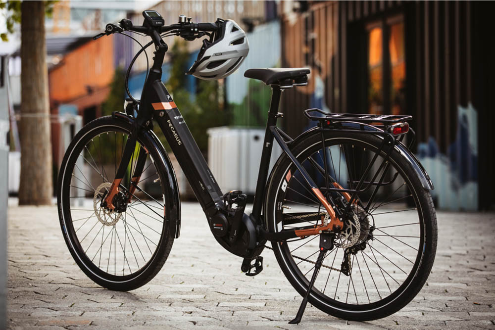 De 30 Grootste E-bike Merken