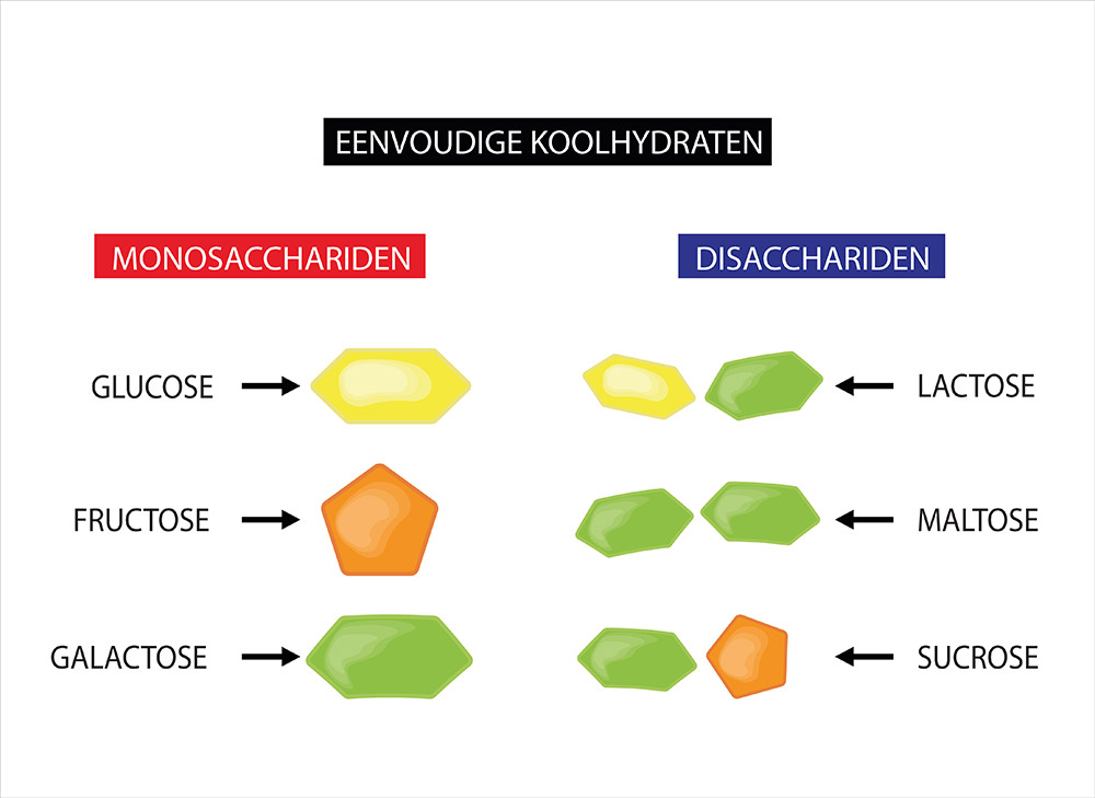 Top 30 Producten met de Meeste Koolhydraten
