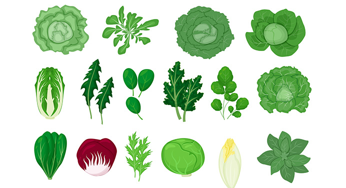 30 Verschillende Soorten Rundvlees - Wat Zit Waar? (Foto's)