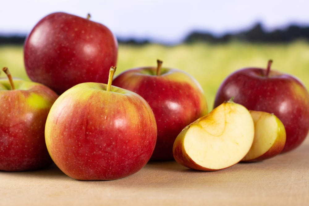 30 Verschillende Soorten Appels — Complete Lijst Met Foto's