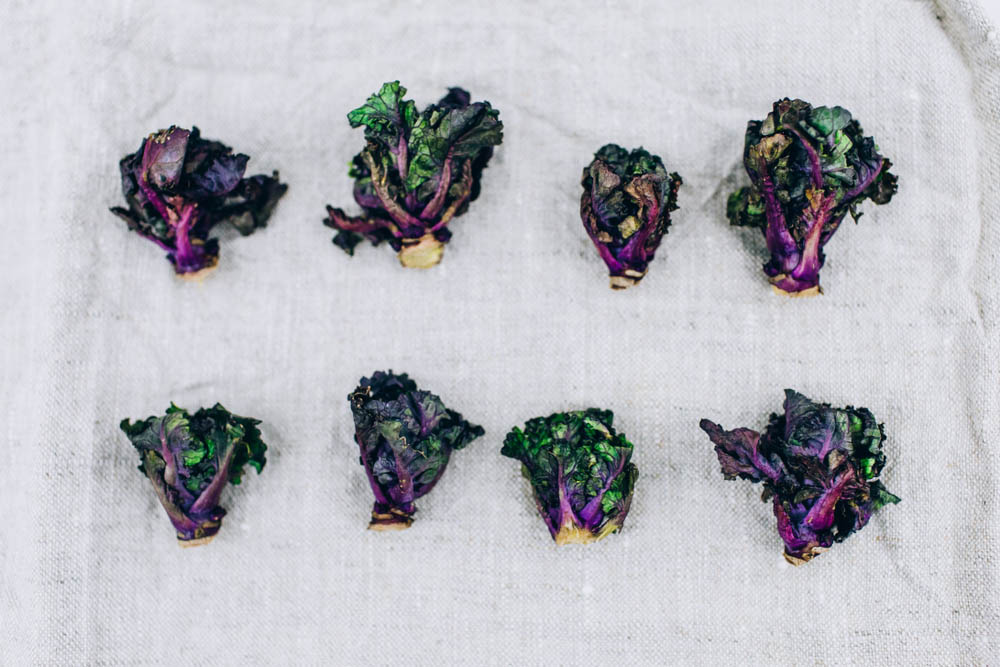 28 Verschillende Koolsoorten — van Bloemkool tot Romanesco