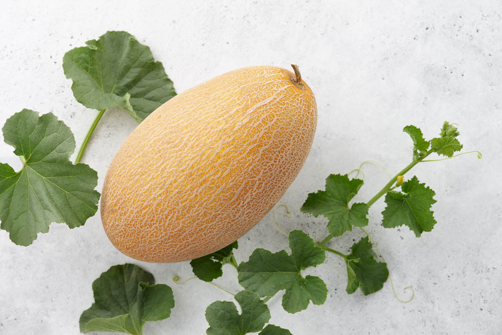 30 Verschillende Soorten Meloenen