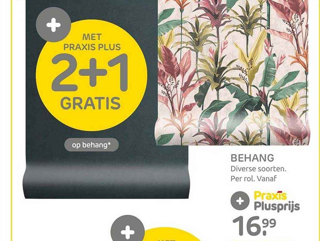 Behang 2+1 Gratis Aanbieding bij Praxis - 1Folders.nl