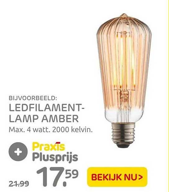 Ledfilamentlamp Amber Aanbieding bij Praxis - 1Folders.nl