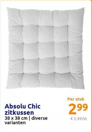 Absolu Chic Zitkussen Aanbieding bij Action - 1Folders.nl