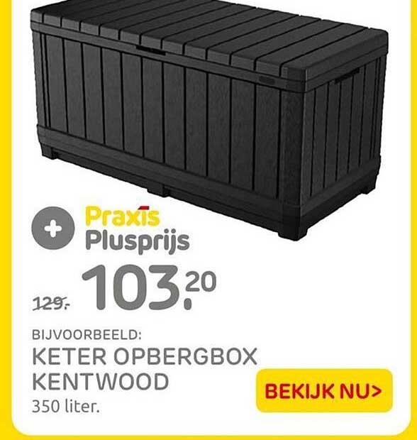 Keter Opbergbox Kentwood Aanbieding Bij Praxis 1folders Nl