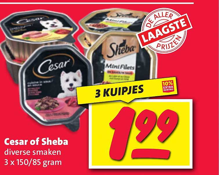 Cesar Of Sheba Aanbieding bij Nettorama - 1Folders.nl