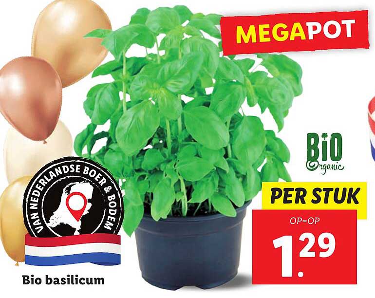 Bio Basilicum Aanbieding bij Lidl - 1Folders.nl