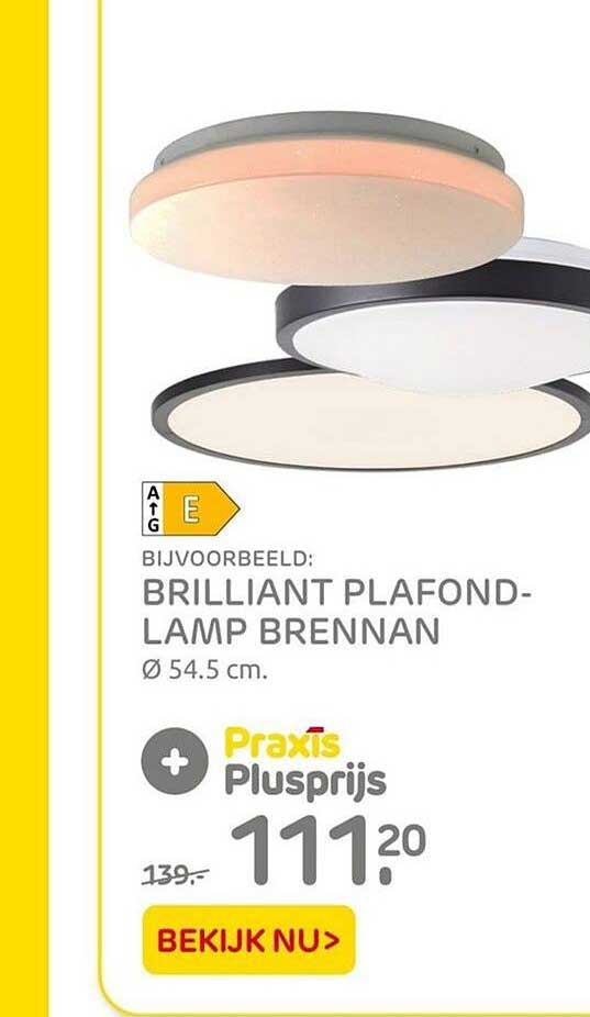 Brilliant Plafondlamp Brennan Aanbieding bij Praxis - 1Folders.nl
