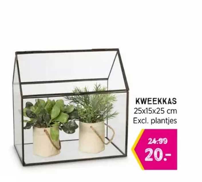 Kweekkas Aanbieding bij Xenos - 1Folders.nl