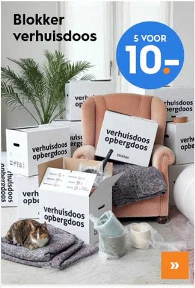 Blokker Verhuisdoos Aanbieding bij Blokker - 1Folders.nl