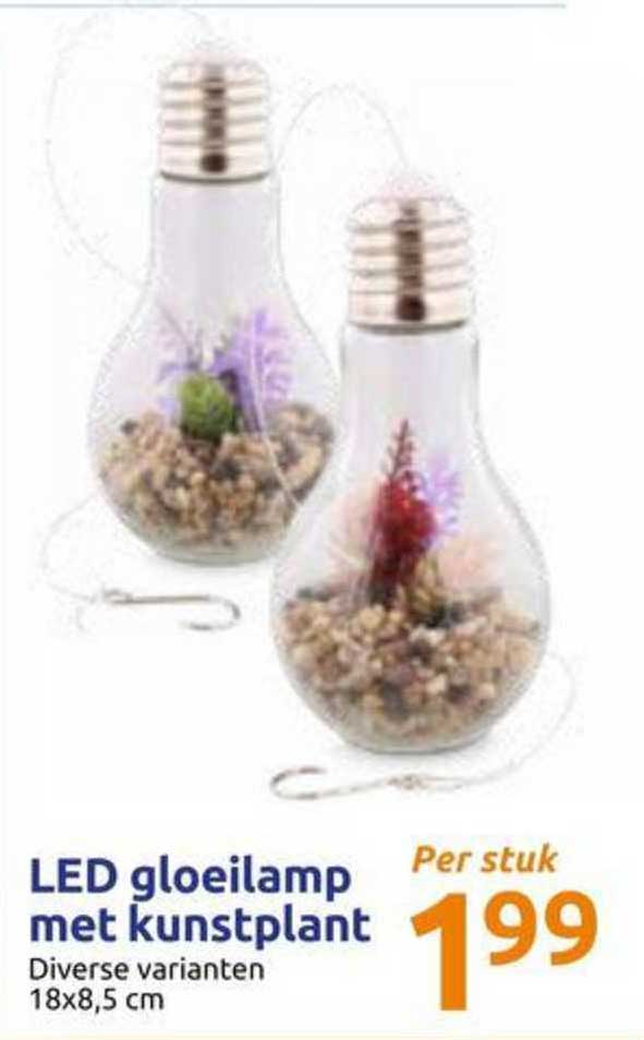 LED Gloeilamp Met Kunstplant Aanbieding bij Action - 1Folders.nl