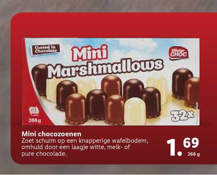 Mini Chocozoenen Aanbieding bij Lidl - 1Folders.nl