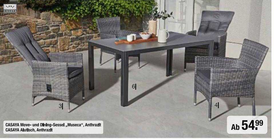Casaya Move- Und Dining-sessel „museca“, Anthrazit Oder Alutisch ...