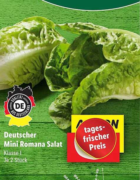 Deutscher Mini Romana Salat Angebot bei Lidl - 1Prospekte.de
