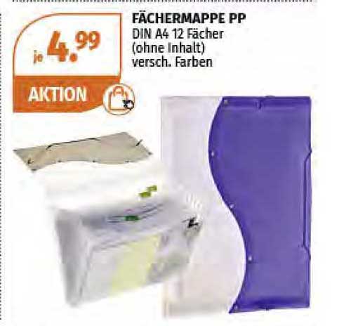 Fächermappe Pp Angebot bei MÜLLER - 1Prospekte.de