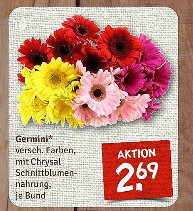 Germini Angebot bei Nahkauf - 1Prospekte.de