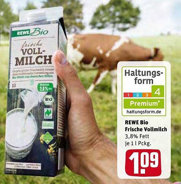 Rewe Bio Frische Vollmilch Angebot bei REWE Kaufpark - 1Prospekte.de