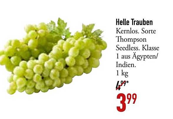 Helle Trauben Angebot bei DINEA