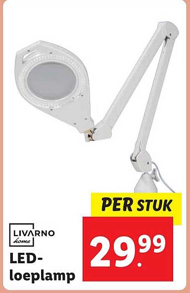 Livarno Home Led-Loeplamp aanbieding bij Lidl