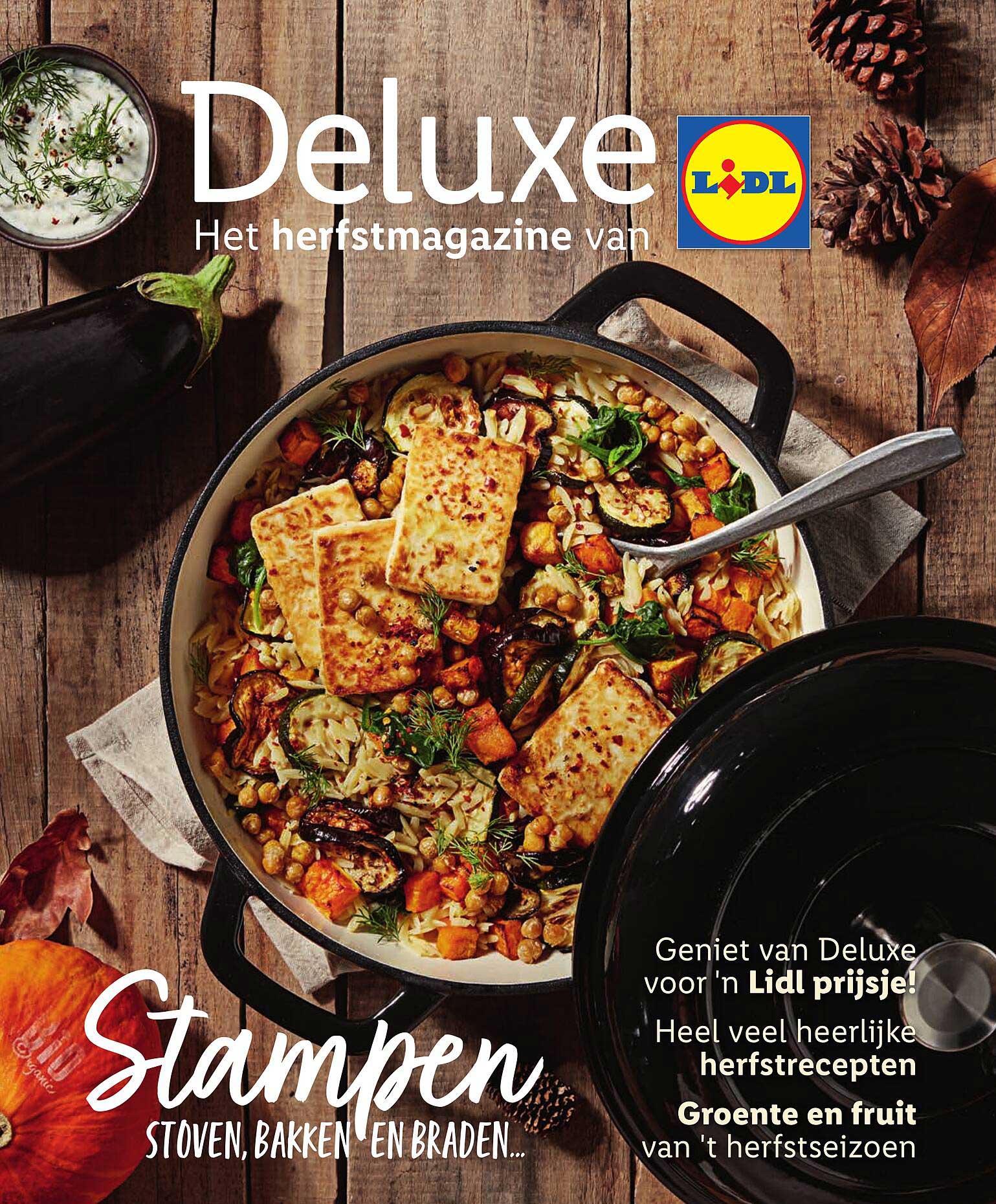 Deluxe Het Herfstmagazine Van Lidl Stampen aanbieding bij Lidl