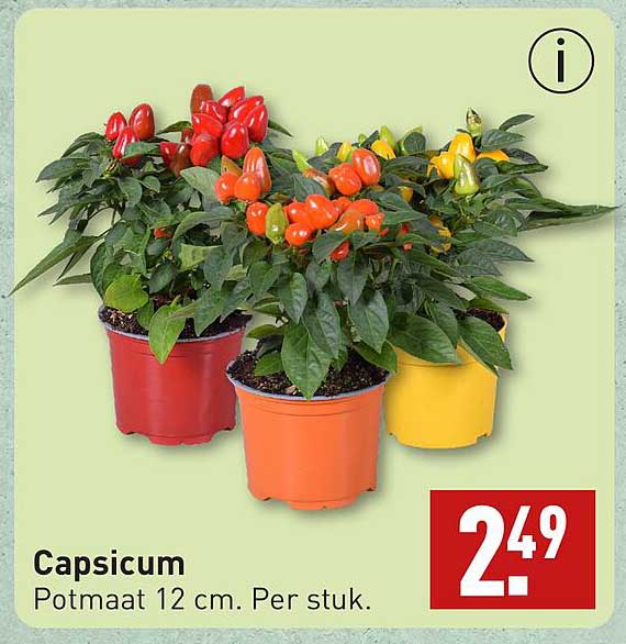 Capsicum aanbieding bij ALDI