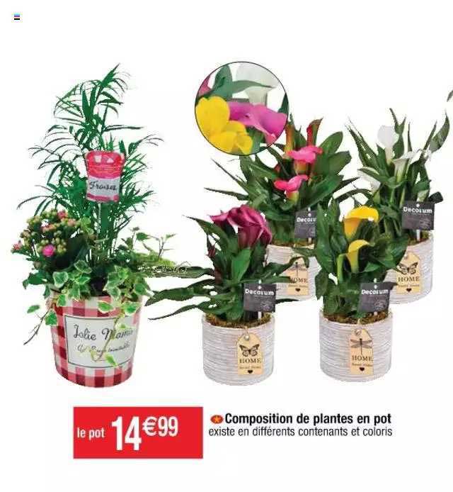 Promo Composition De Plantes En Pot chez Cora - iCatalogue.fr