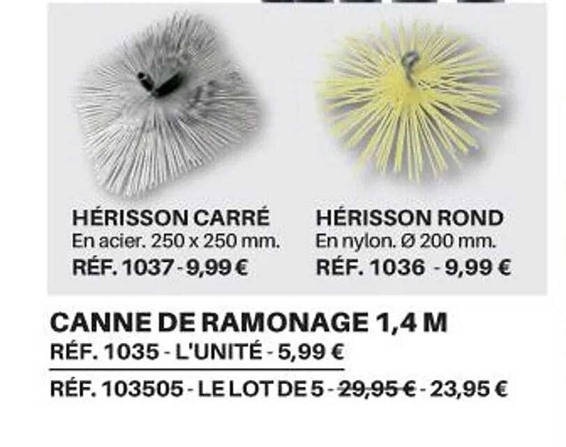 Promo Canne De Ramonage chez Shopix - iCatalogue.fr
