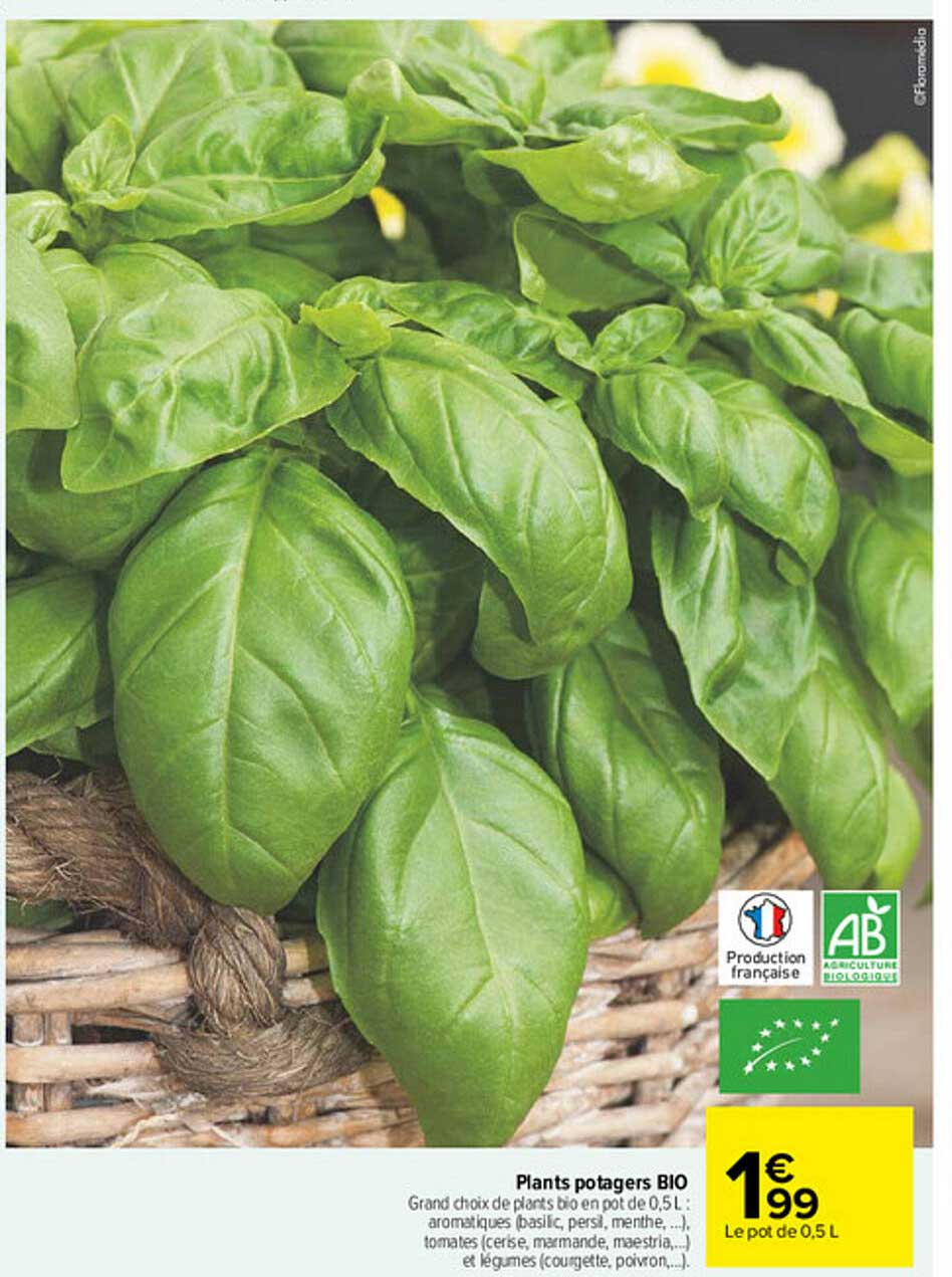 Promo Plants Potagers Bio chez Carrefour - iCatalogue.fr