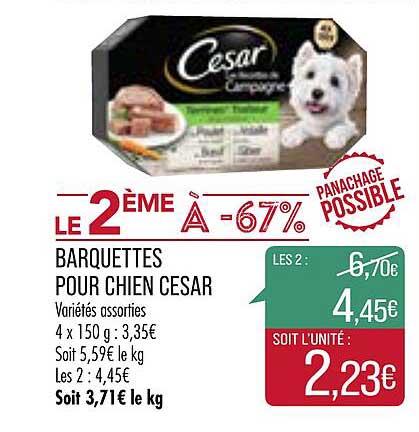 Promo Barquettes Pour Chien Cesar chez Match - iCatalogue.fr