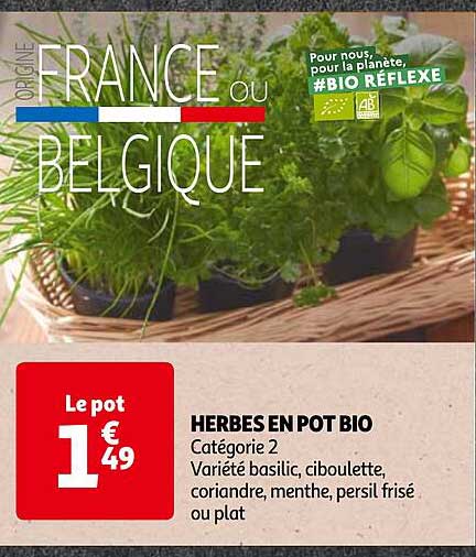 Promo Herbes En Pot Bio chez Auchan - iCatalogue.fr