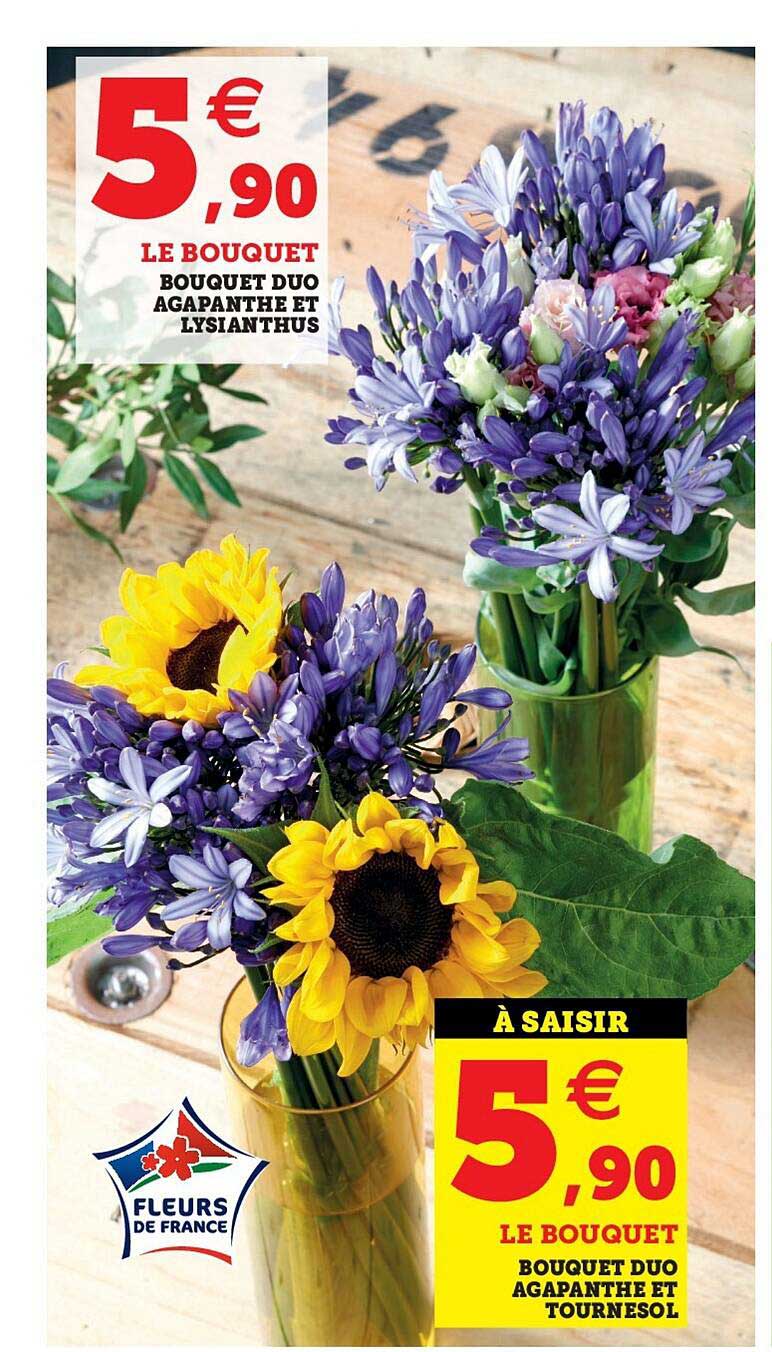 Offre Agapanthe chez Delbard