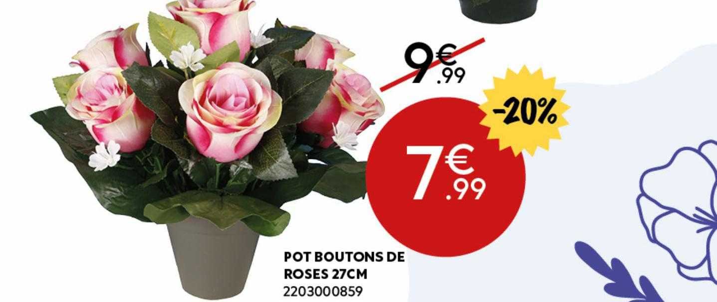 Promo Pot Boutons De Rose 27 Cm chez Maxi Bazar - iCatalogue.fr