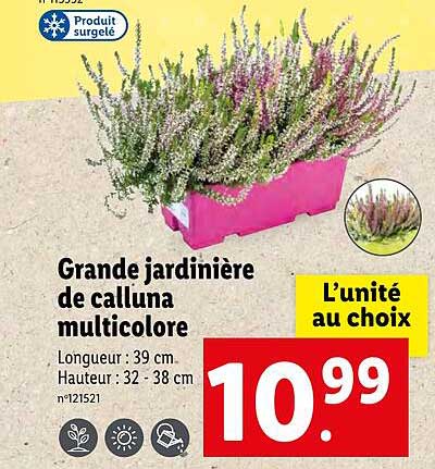 Promo Grande Jardinière De Calluna Multicolore chez Lidl - iCatalogue.fr