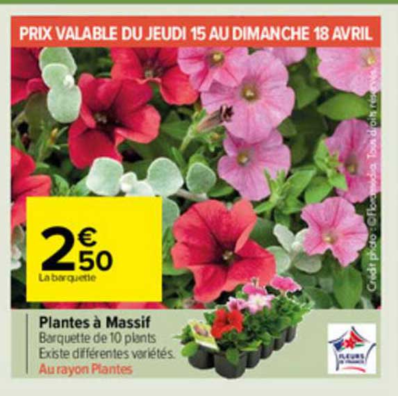 Promo Plantes à Massif chez Carrefour Market - iCatalogue.fr