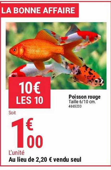 Promo Poisson Rouge chez Gamm vert - iCatalogue.fr