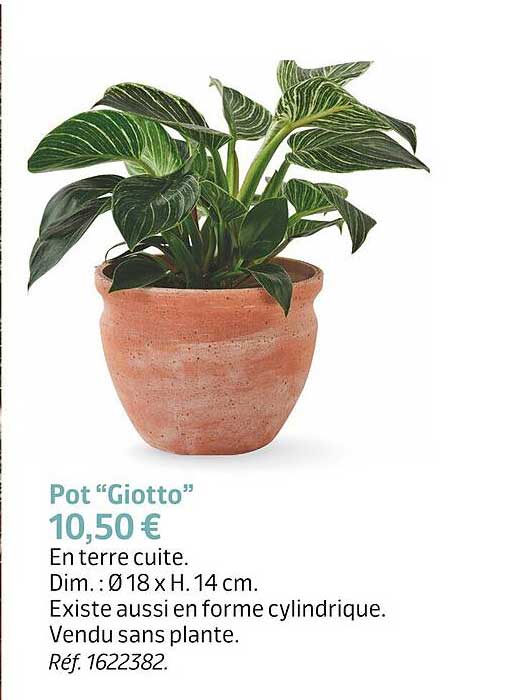 Sitemapcdatahttpsaramixel Thicoipeinfocache Pot Jardilandnull