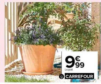 Promo Le Pot chez Carrefour - iCatalogue.fr