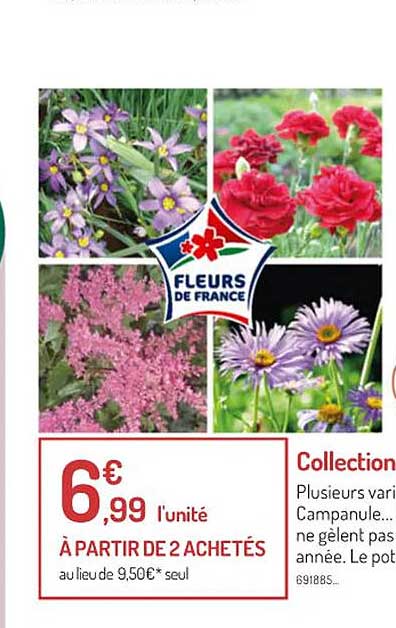 Offre Collection chez Botanic