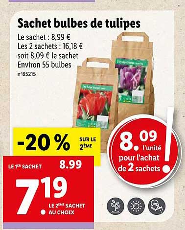 Promo Sachet Bulbes De Tulipes chez Lidl - iCatalogue.fr