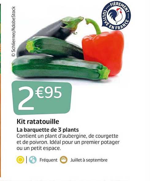 Promo Kit Ratatouille chez Jardiland - iCatalogue.fr