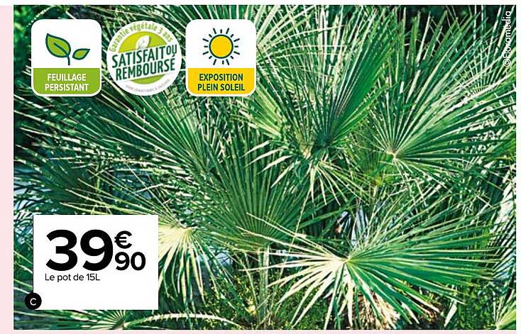 Promo Le Pot De 15 L chez Carrefour - iCatalogue.fr