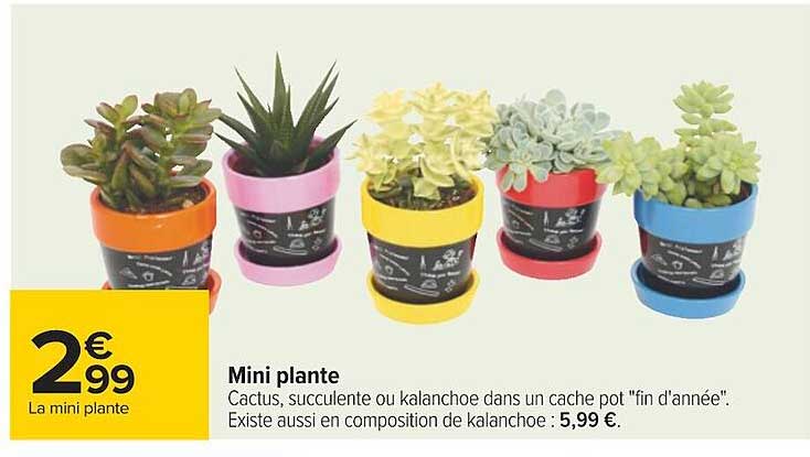 Promo Mini Plante chez Carrefour - iCatalogue.fr