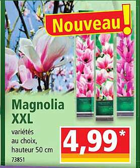 Promo Magnolia Xxl chez Norma - iCatalogue.fr