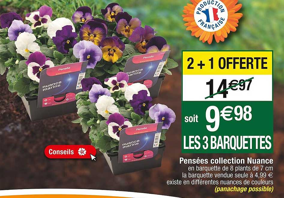 Promo Pensées Collection Nuance chez Cora - iCatalogue.fr