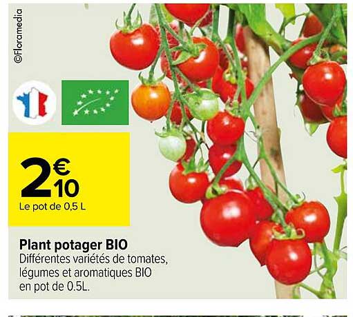 Promo Plant Potager Bio chez Carrefour - iCatalogue.fr