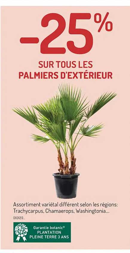 Promo Les Palmiers D'extérieur chez Botanic - iCatalogue.fr