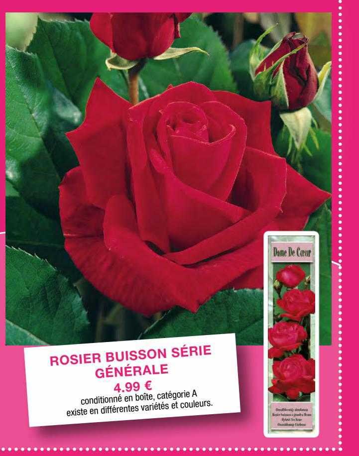 Promo Rosier Buisson Série Générale chez Migros France - iCatalogue.fr