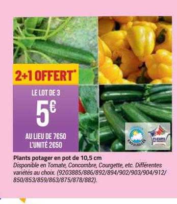 Promo Plants Potager En Pot De 10,5 Cm chez Bricorama - iCatalogue.fr