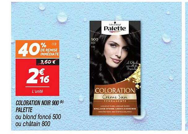 Promo Coloration Noir 900 Palette chez Netto - iCatalogue.fr